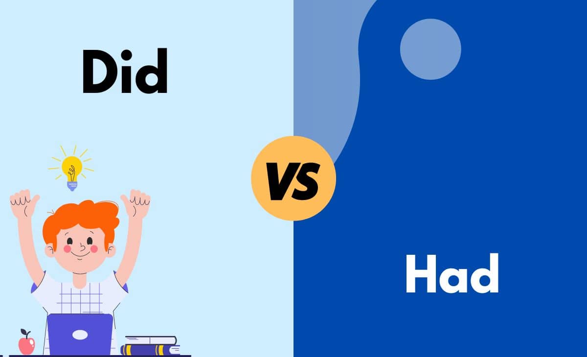 Did Vs Had What s The Difference With Table 