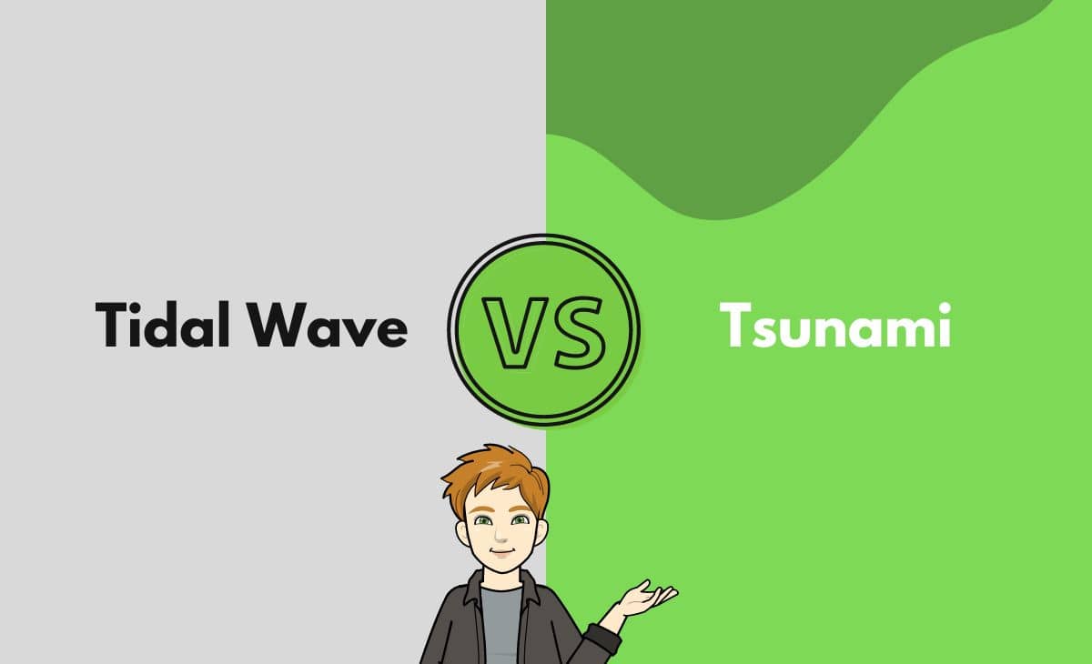 Tidal Wave vs. Tsunami - What's the Difference (With Table) Tidal Wave vs. Tsunami - What's the Difference (With Table)
